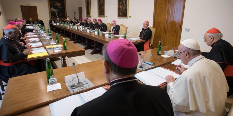 Pope joins meeting to prepare synod for the Amazon - CatholicPhilly