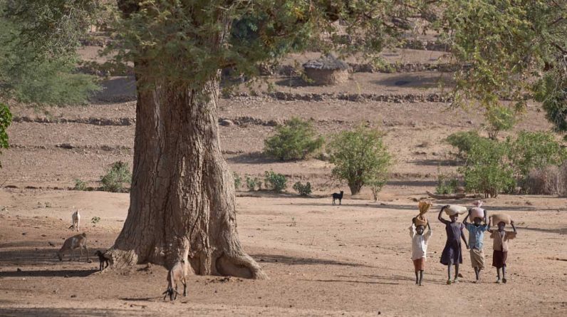 Sudan rebel leader praises Catholic work in liberated area - CatholicPhilly