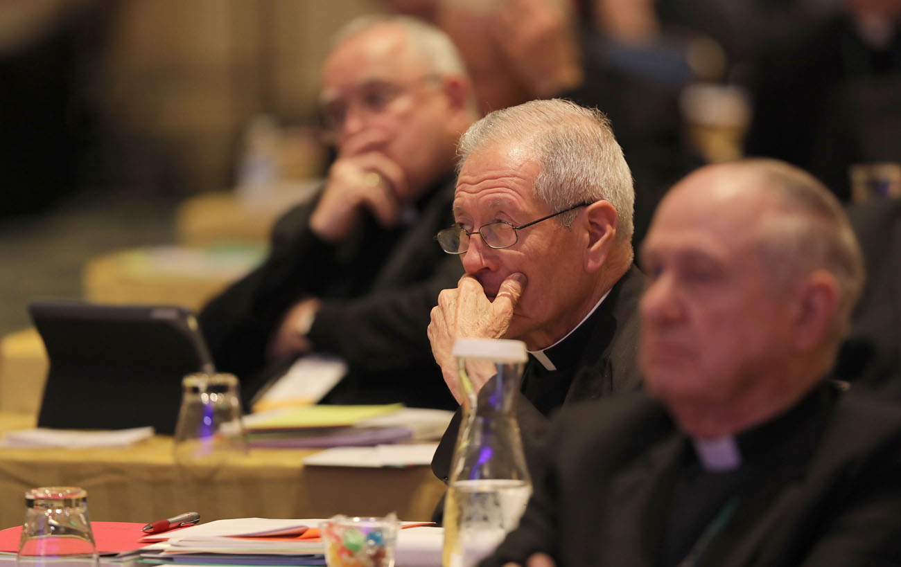Bishops hear frank presentations, discussion on abuse crisis ...