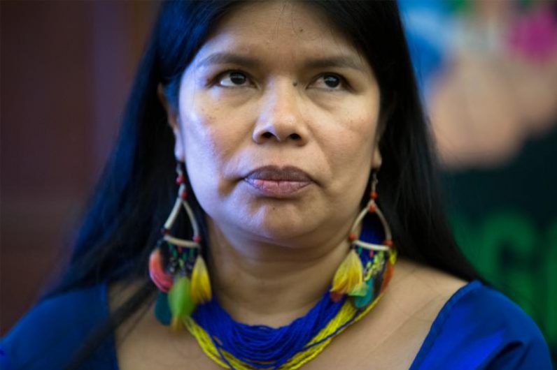 Women in Amazon take more prominent role in environmental protection ...