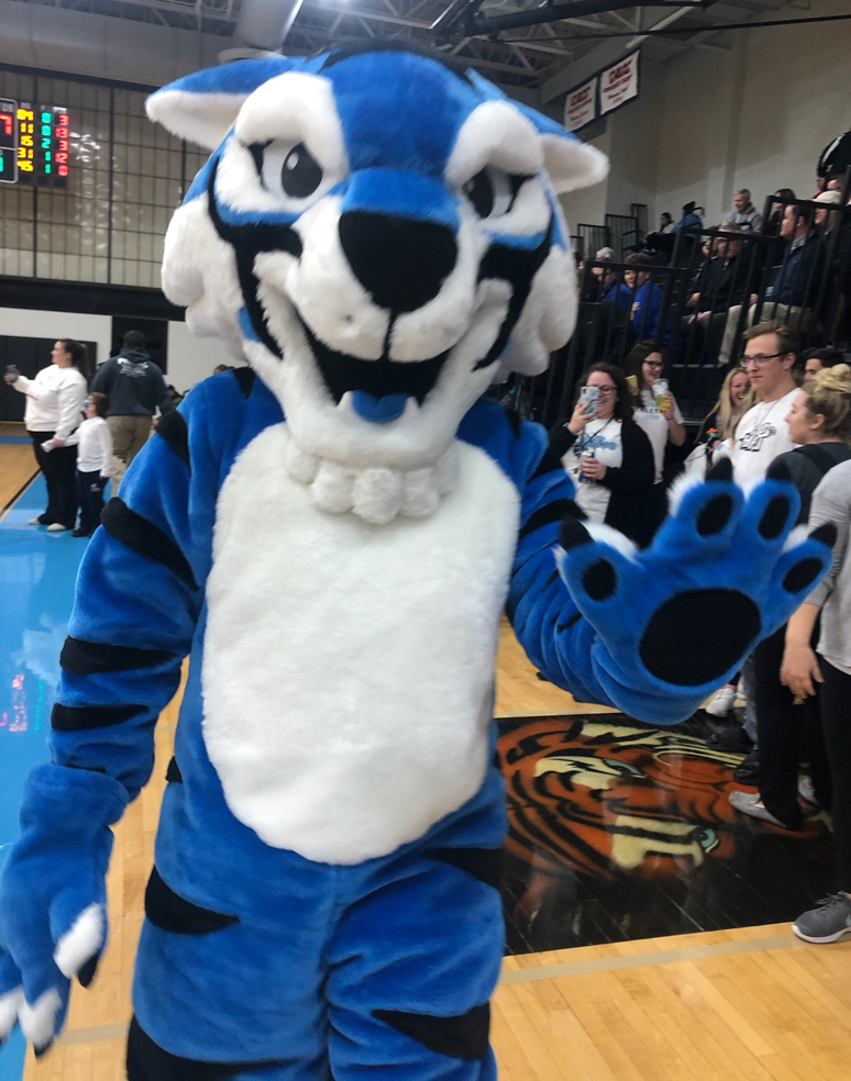 Blue makes debut as new Holy Family U mascot - CatholicPhilly