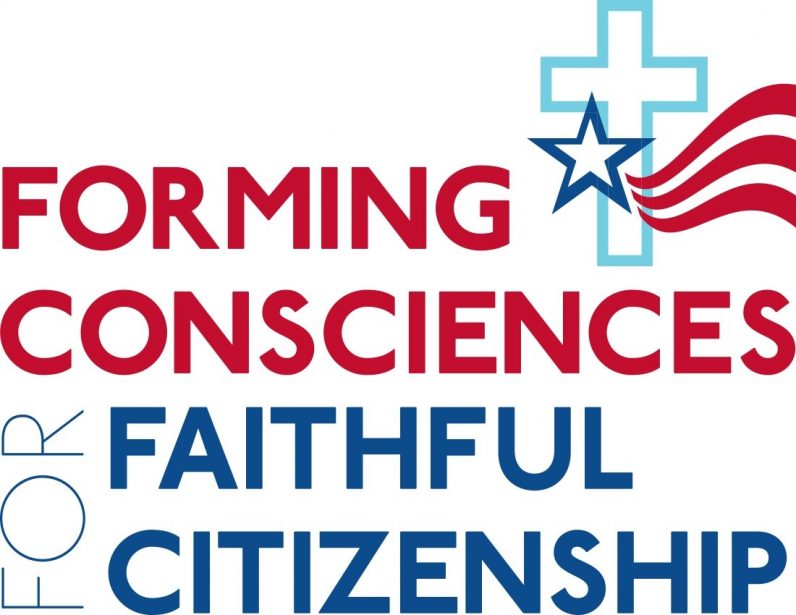 Faithful Citizenship: 2020 voter information - CatholicPhilly