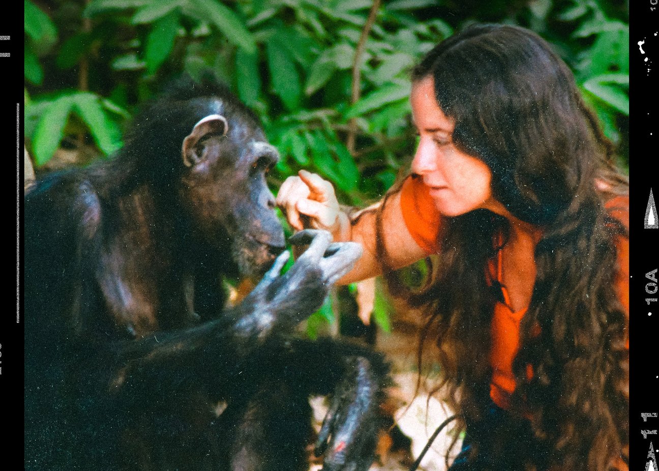 The head scratching ethics of 'Lucy, the Human Chimp' - CatholicPhilly