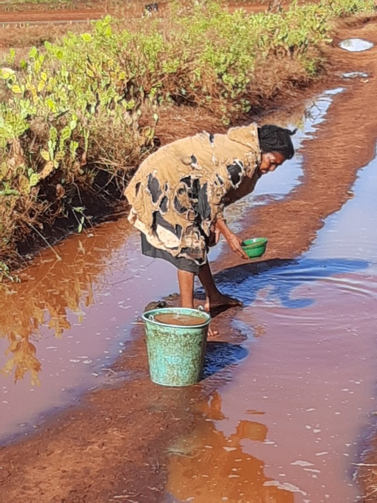 Madagascar drought leads to starvation; pandemic complicates aid ...