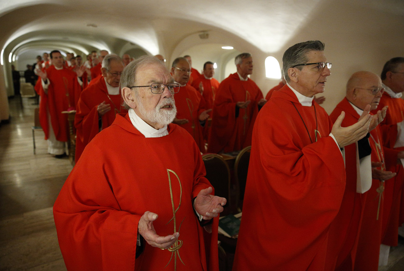 Pope accepts resignation of Auxiliary Bishop Sheltz of Galveston ...