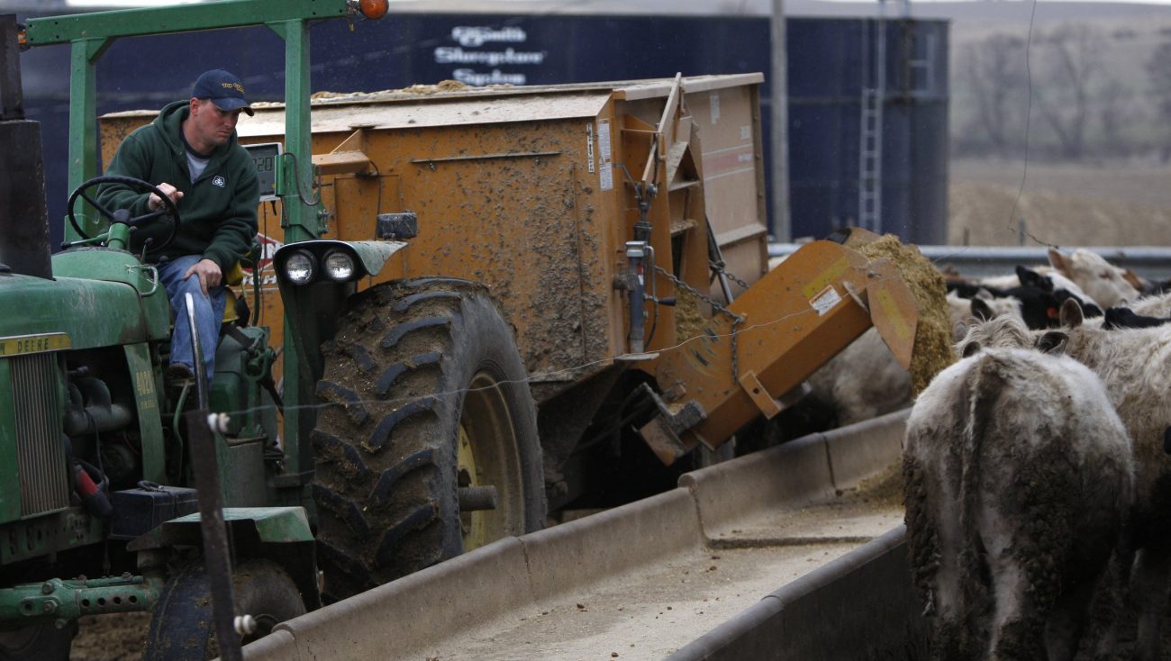 To feed the world, start with family farms, pope says - CatholicPhilly