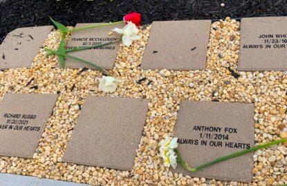 Memorial walkway keeps adults with intellectual disabilities 'forever ...