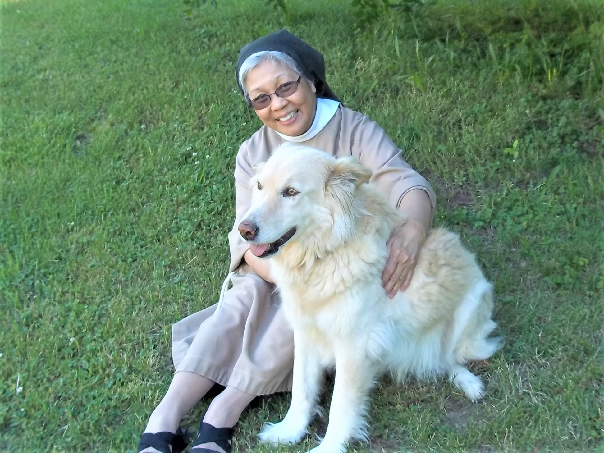 Local Poor Clare Nun’s Health Sparks Plea for Miracle from Blessed ...